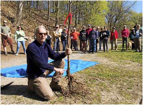 Saratogian Article On Sustainable Tree Planting – Saratoga Springs Politics